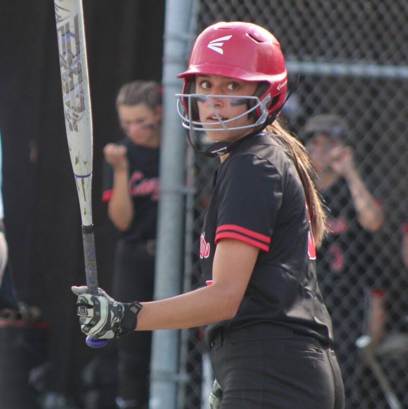 Softball standouts make all-star team | News, Sports, Jobs - The Nashua ...